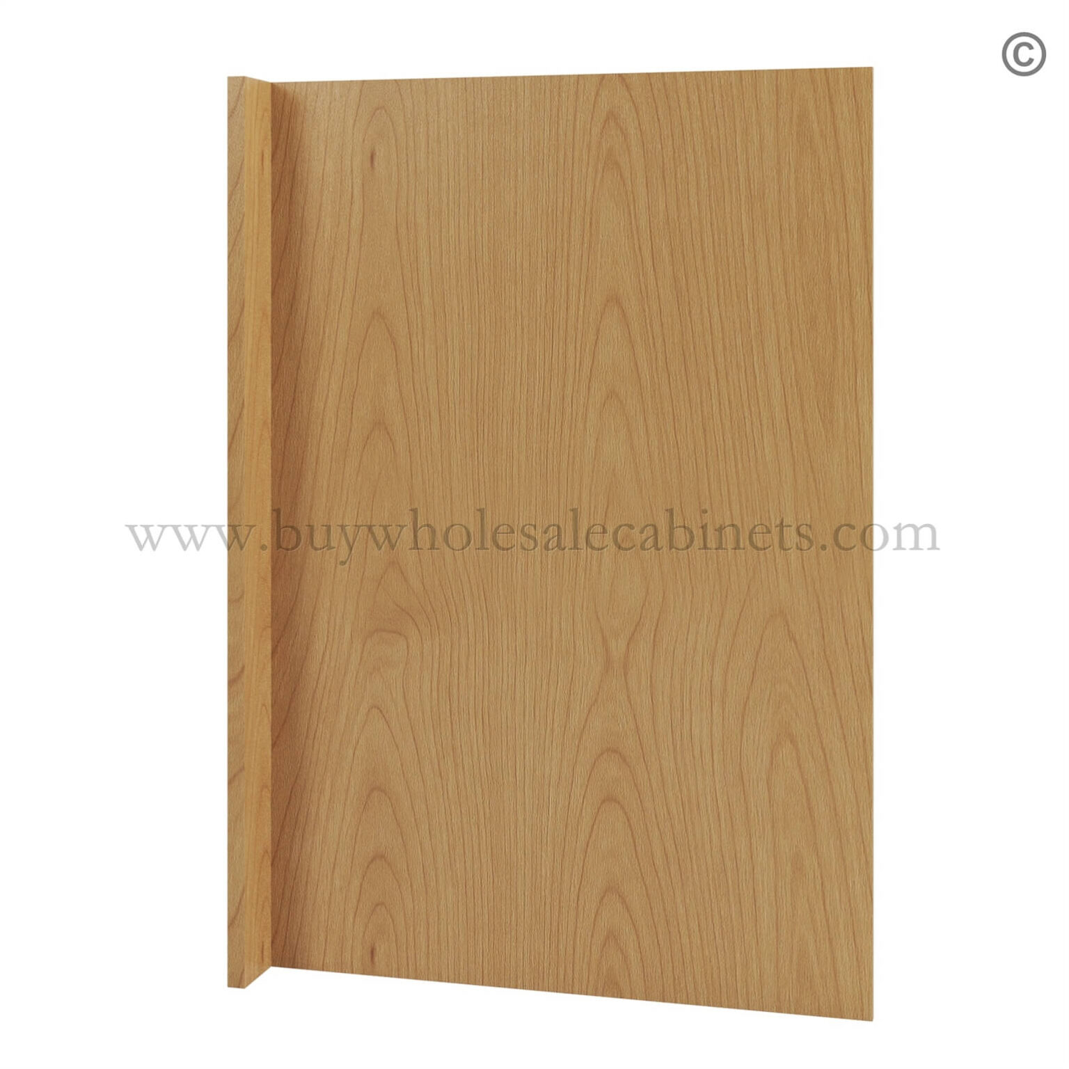 Treasure Chest Shaker Dishwasher Return Panel - BWC